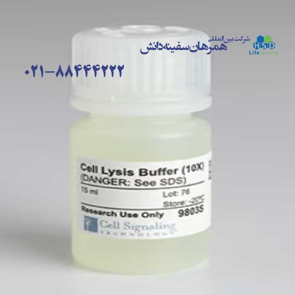 Cell Lysis Buffer 10x نمایندگی سیگما آلدریچ، مرک فروش مواد